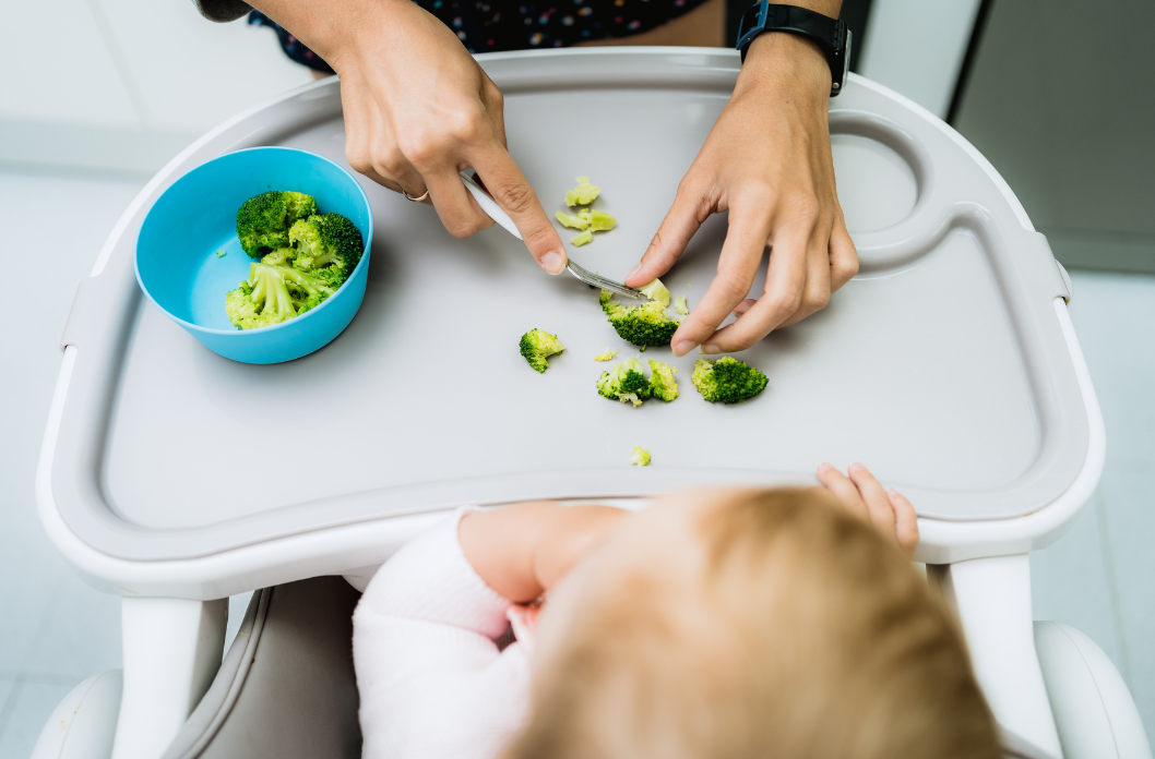 Foods babies should avoid | Little Lunches